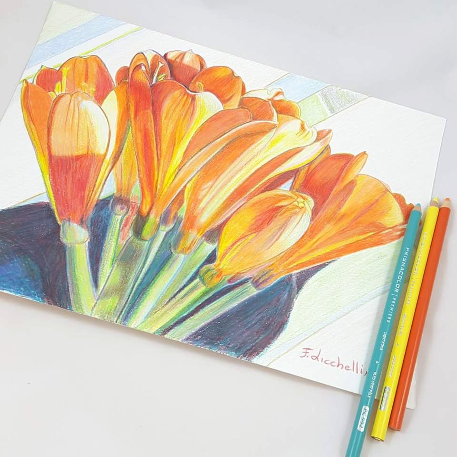 Orange Clivia Original Drawing, Colored Pencils on Paper Botanical ...