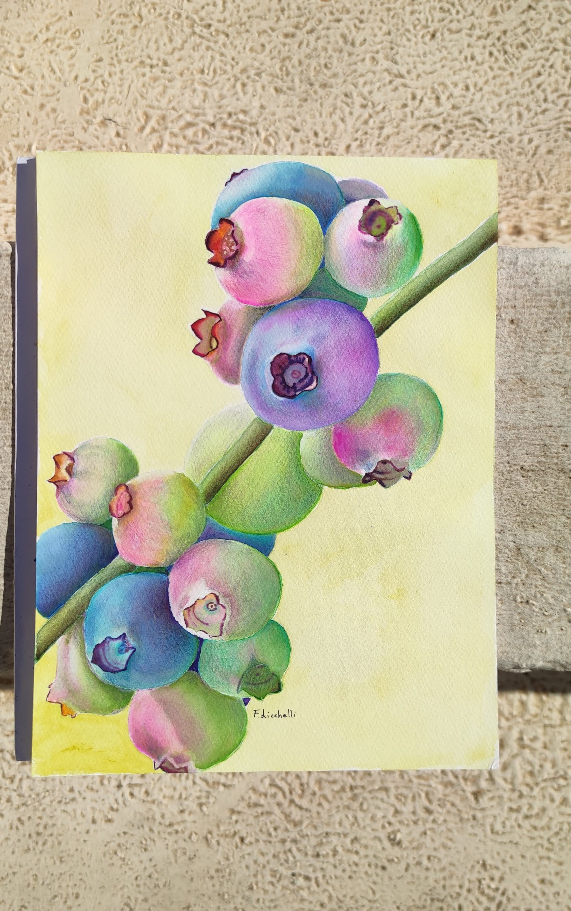 Blueberry Painting Blueberry Watercolor Original Painting Rainbow ...