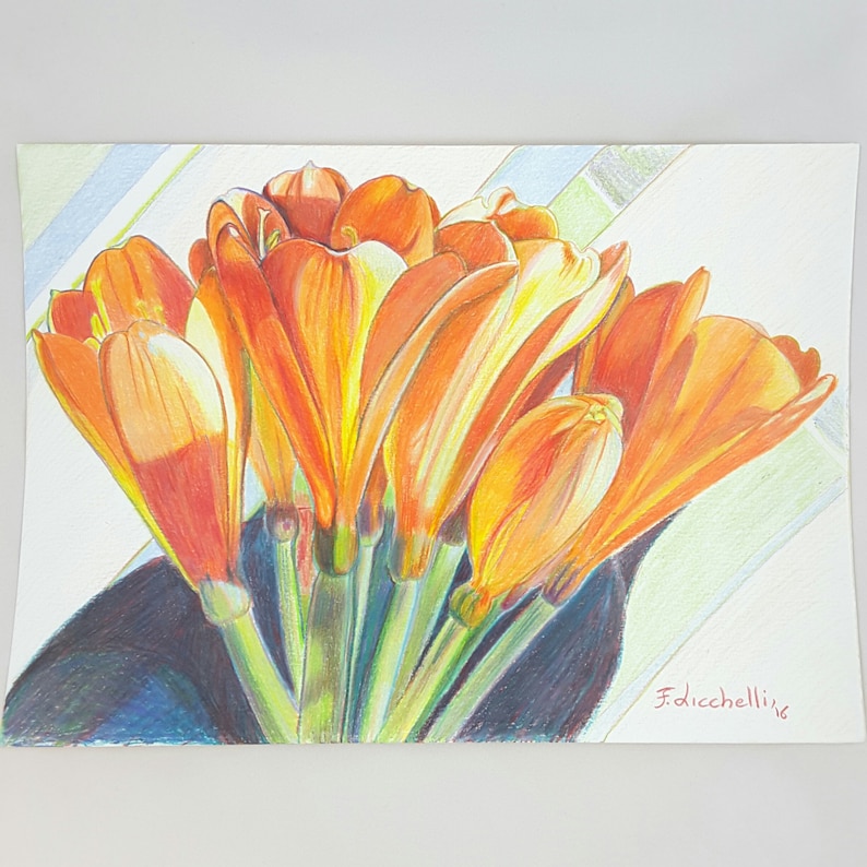 Orange Clivia Original Drawing, Colored Pencils on Paper Botanical ...