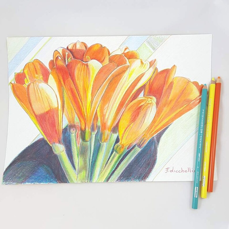 Orange Clivia Original Drawing, Colored Pencils on Paper Botanical ...