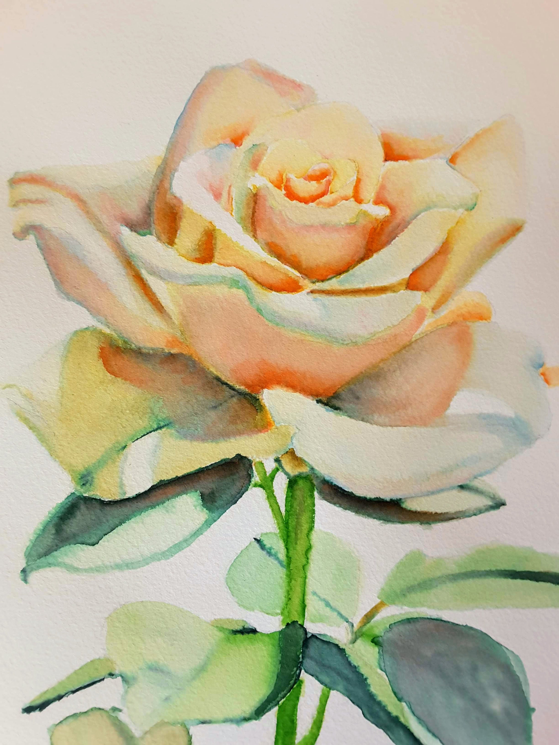 Peach Pink Rose Watercolor Original, Floral Watercolor Rose Pink, Rose ...