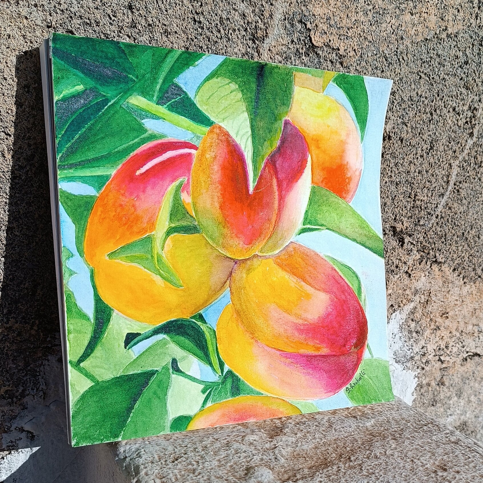 Peach Watercolor Peach Tree Painting Square Peach and Leaves Watercolor ...