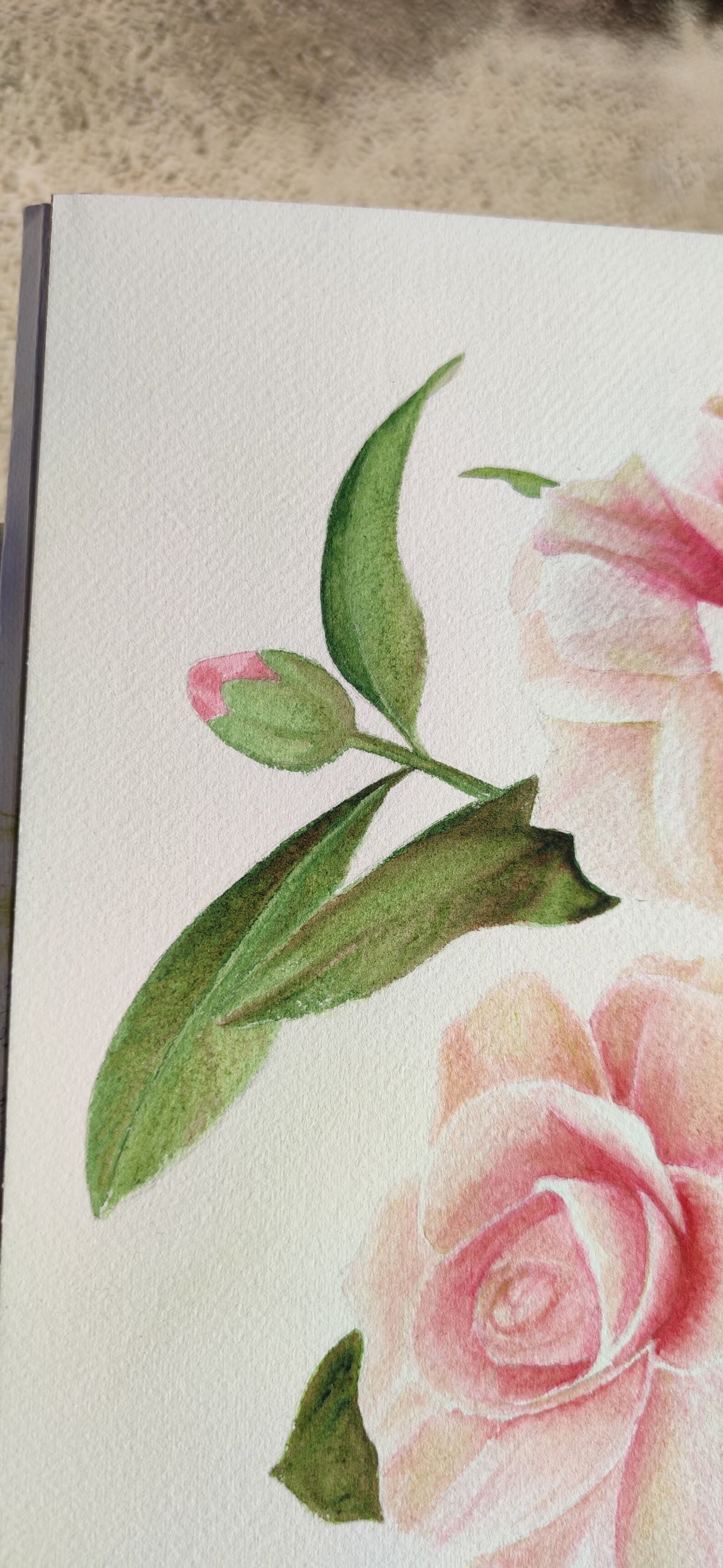 Rose Watercolor Branch of Rose Painting Light Pink Rose Wall Art ... Rose Watercolor Branch of Rose Painting Light Pink Rose Wall Art ...