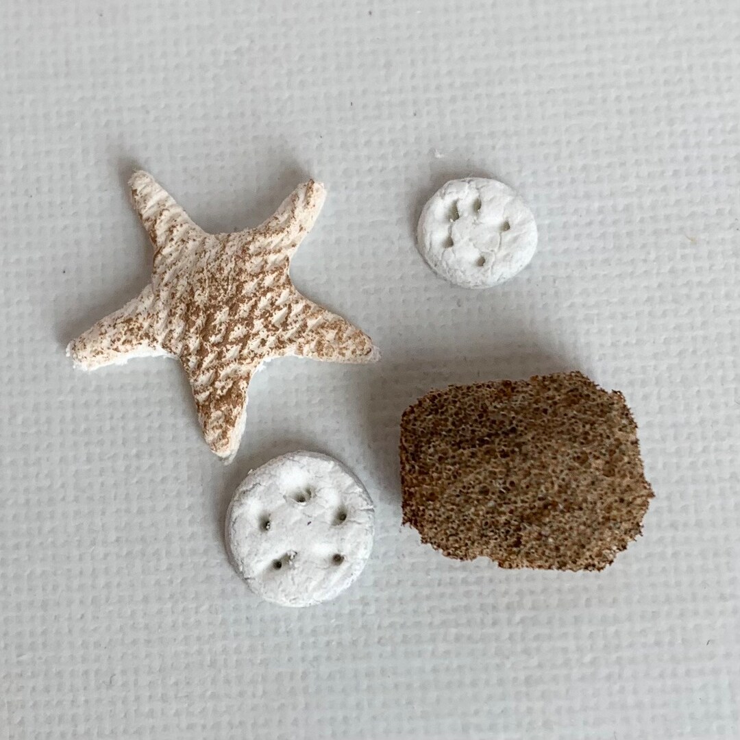 Artist Made Miniature Starfish Sand Dollar and Sea Sponge 1:12 Scale ...