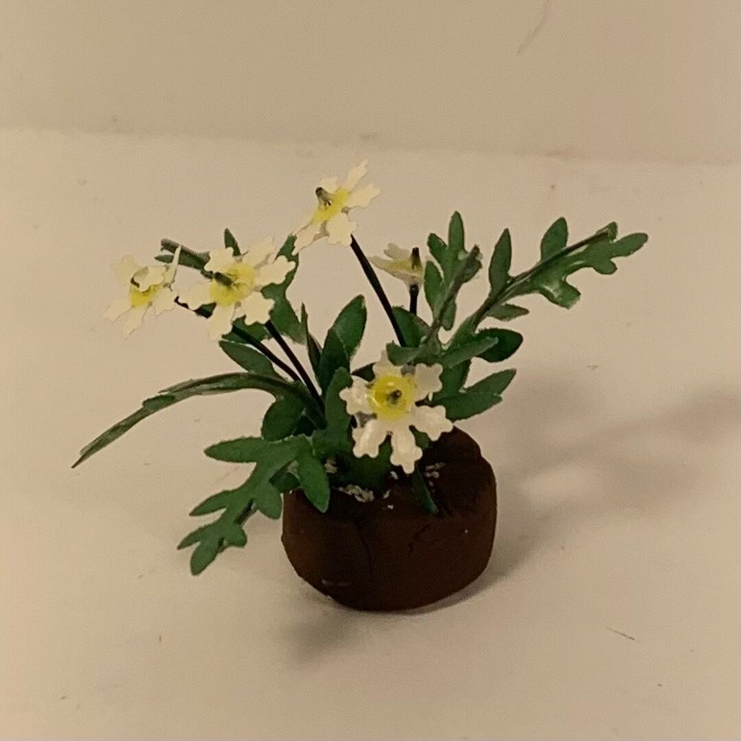 Miniature Daisy Plants Dollhouse Fairy Garden Clump of Daisies. - Etsy