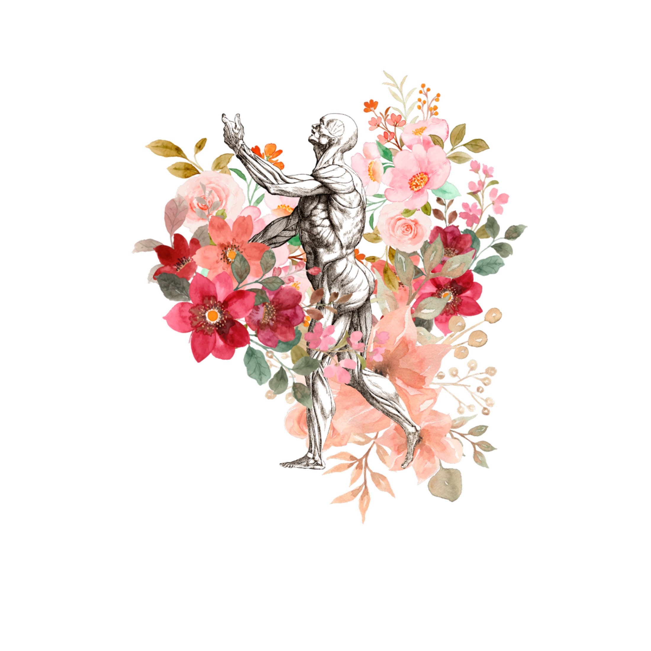 Anatomy Blooms Digital Wall Art, Muscleman Botanical Printable Png ...