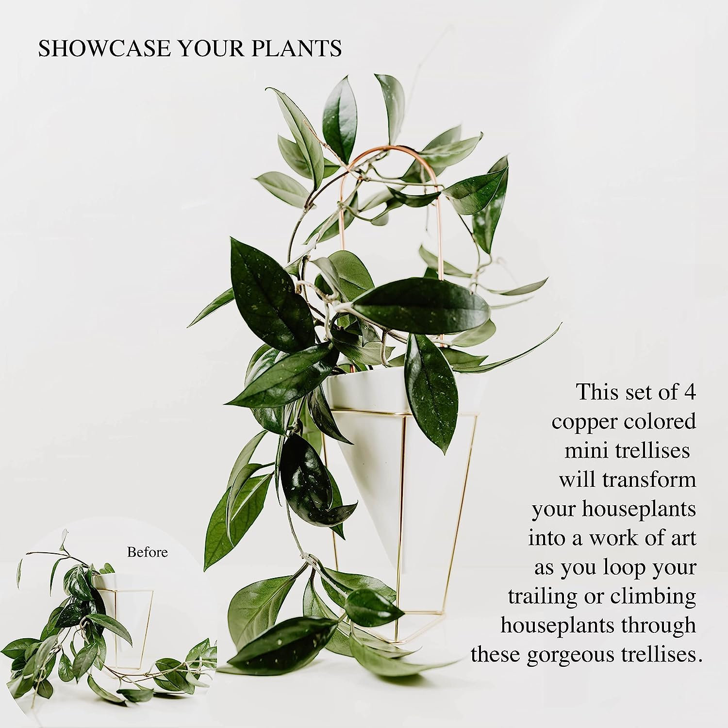 Copper Trellis for Indoor Plants and Flowers, Perfect for Hoya, Pothos ...