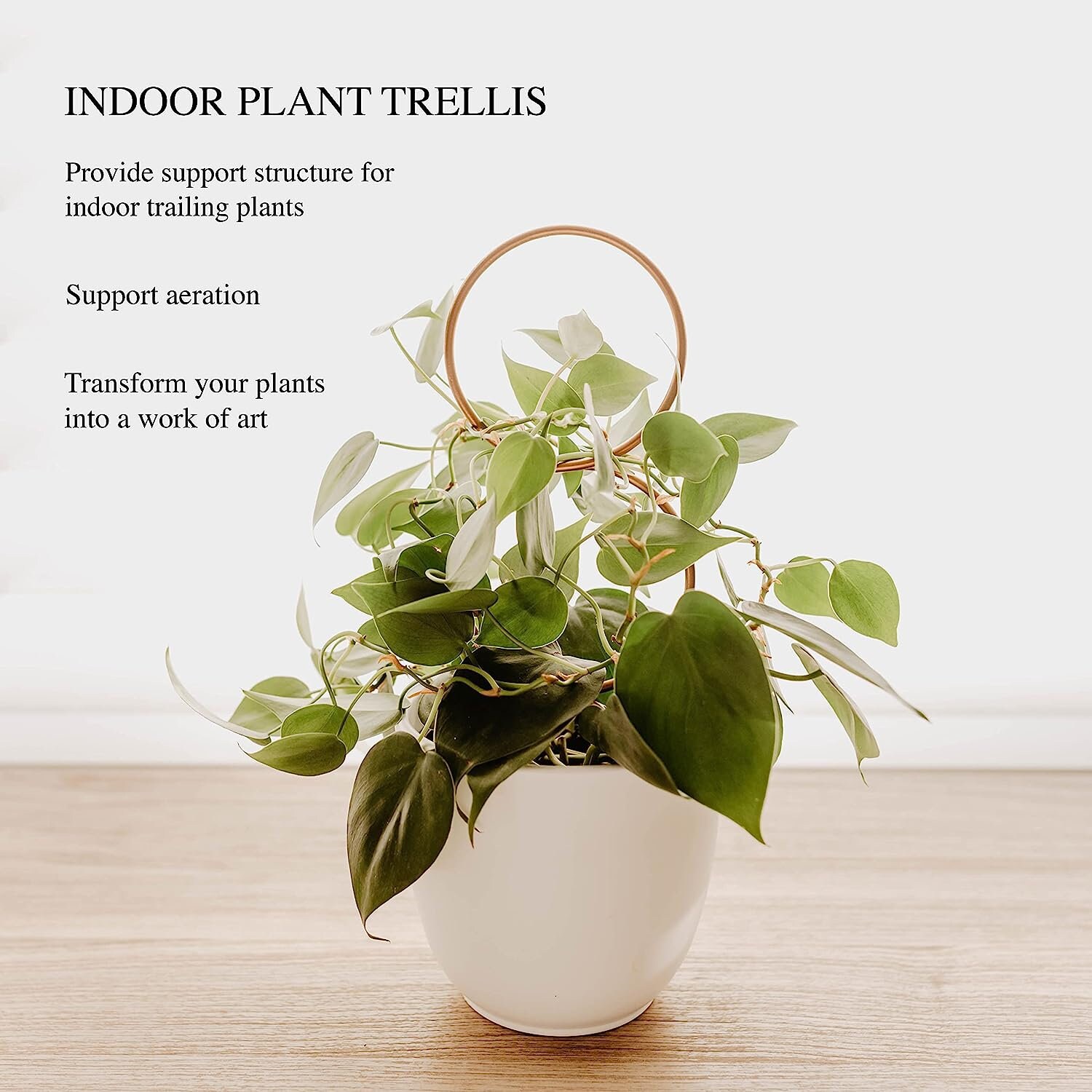 Copper Trellis for Indoor Plants and Flowers, Perfect for Hoya, Pothos ...