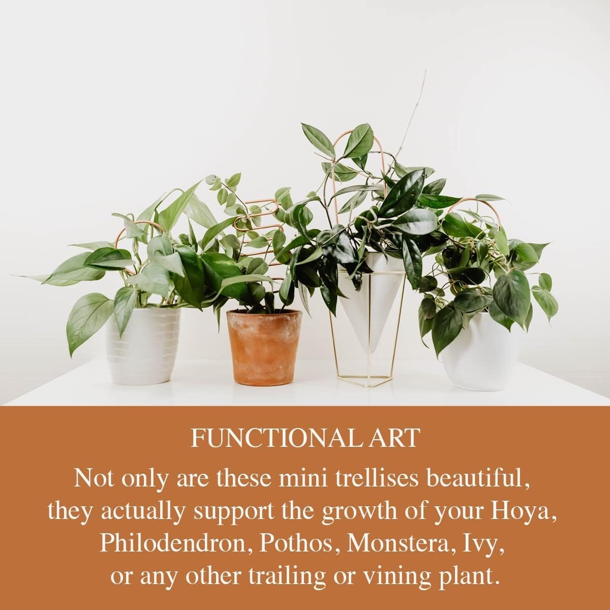 Copper Trellis for Indoor Plants and Flowers, Perfect for Hoya, Pothos ...