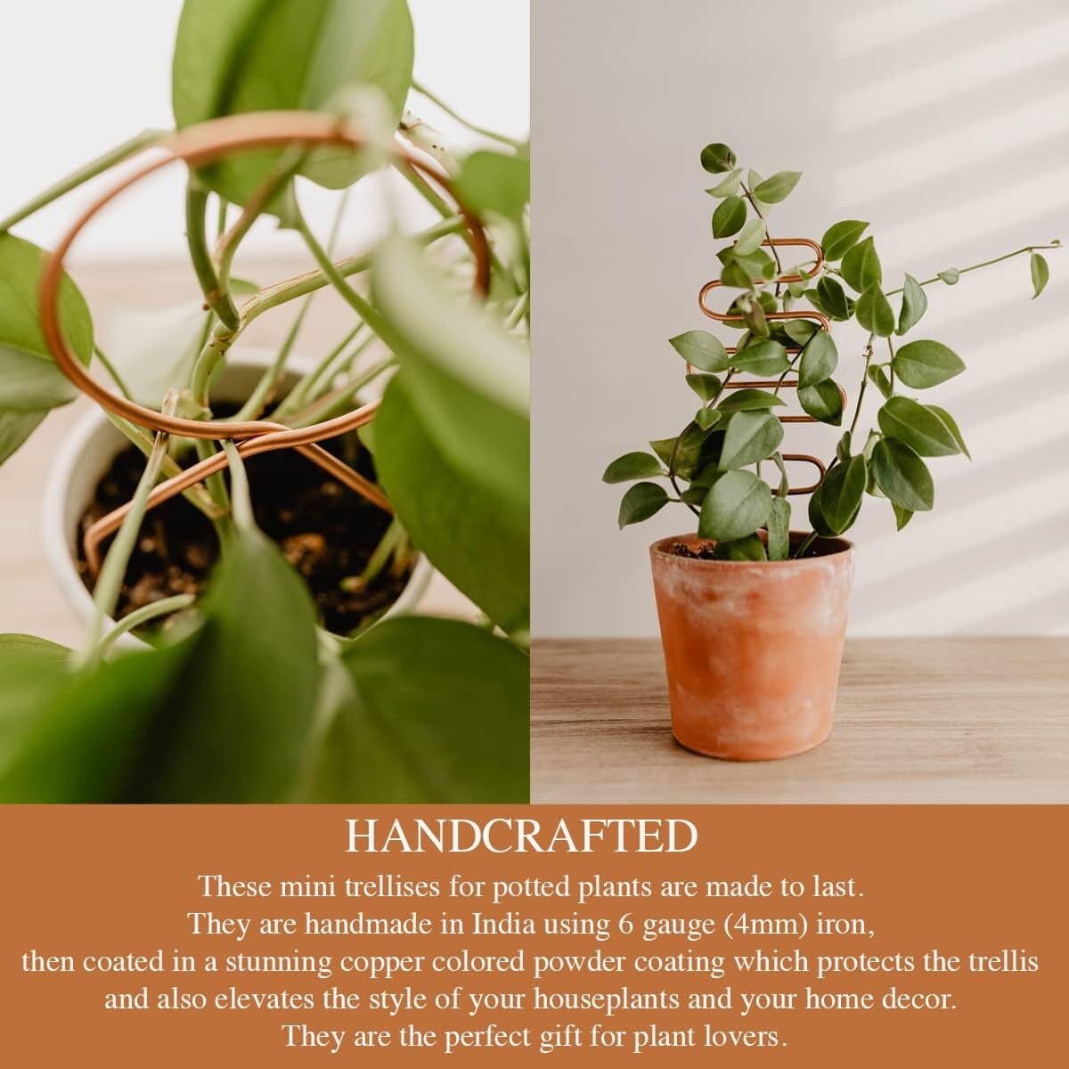 Copper Trellis for Indoor Plants and Flowers, Perfect for Hoya, Pothos ...