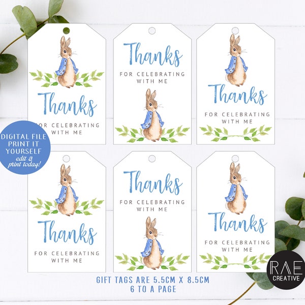 Peter Rabbit Thank You Tags - Etsy