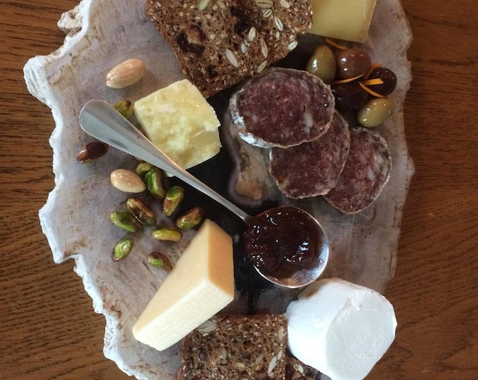 Petrified Wood Cheese Board Fossil Display Piece Petrify Wood - Etsy
