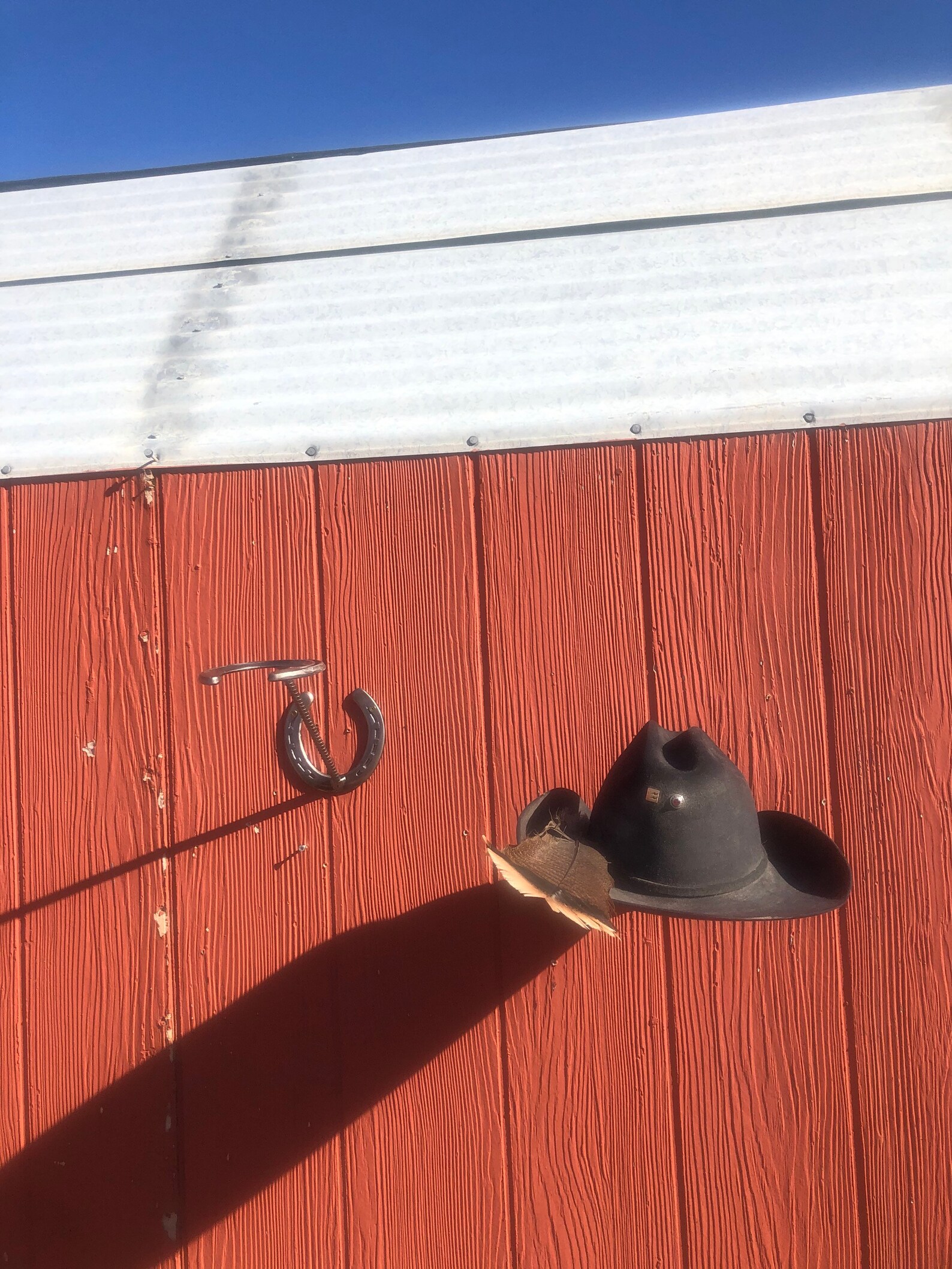 Horseshoe Cowboy Hat Racks | Etsy