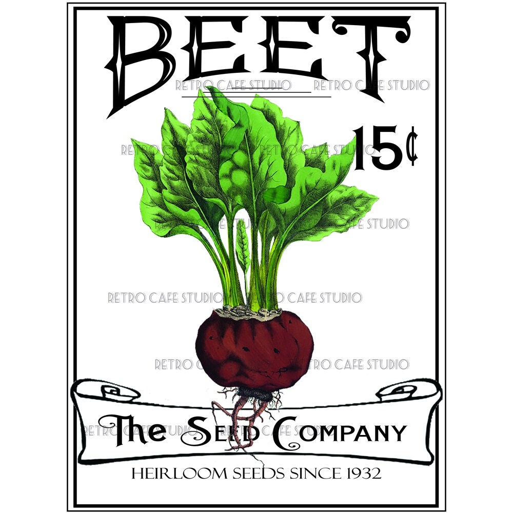 Vintage Garden Vegetable Beet Seed Packet Illustration Digital Download ...