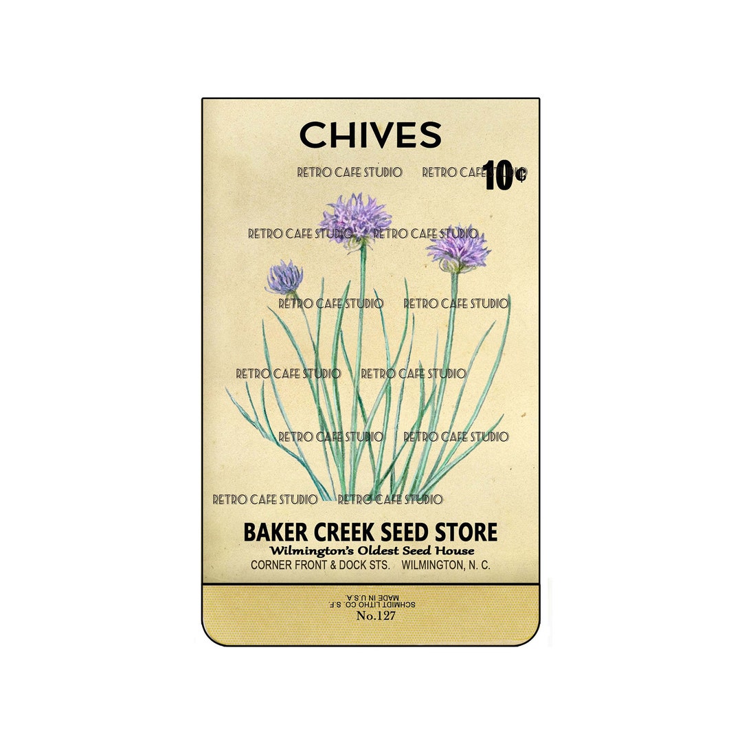 Seed Packet Herb CHIVES Vintage Inspired Illustration Digital Download ...