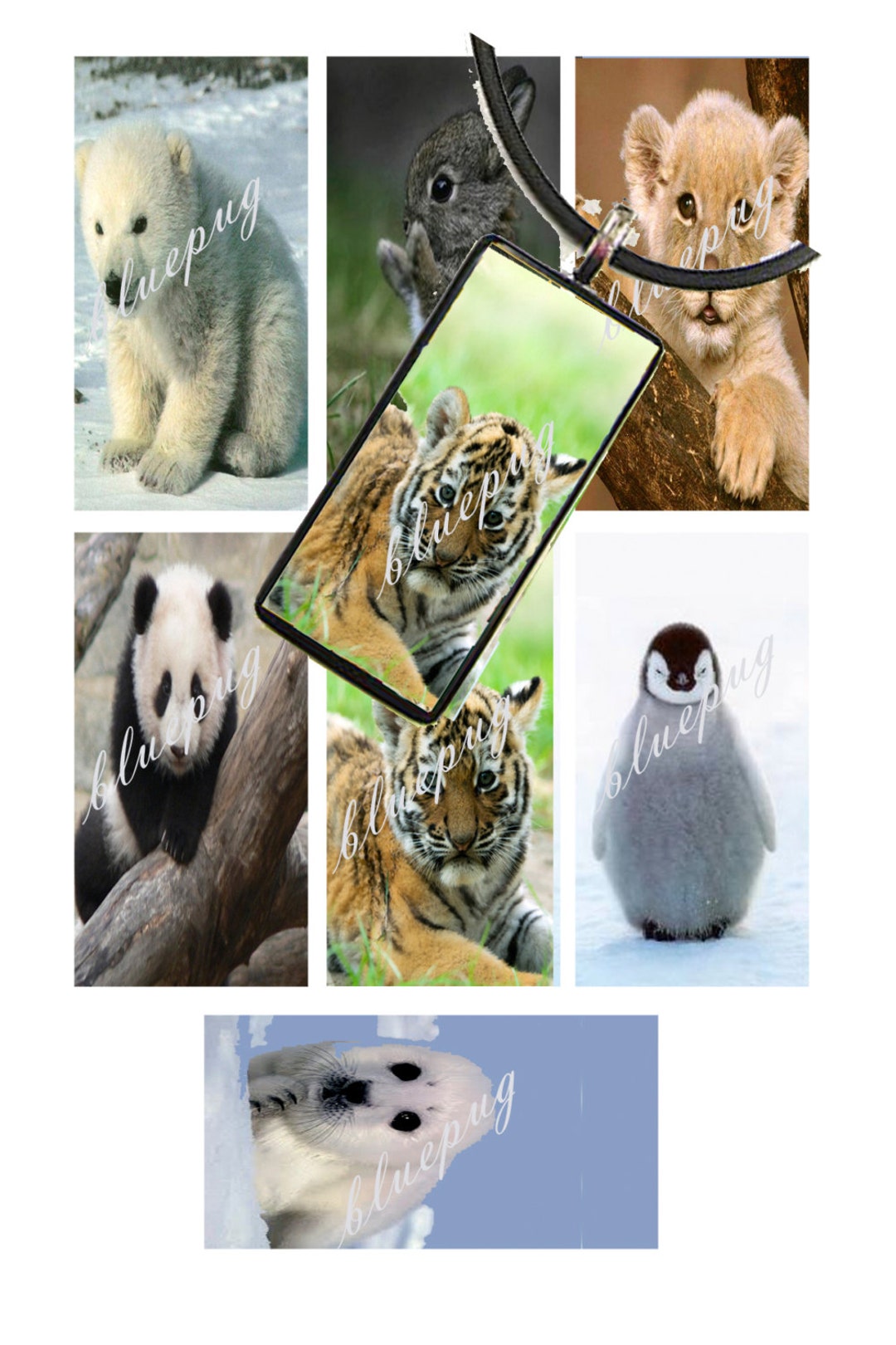 7 Baby Animals Mix Domino Images 1x2 Photo Quality 4x6 Sheet Digtal ...