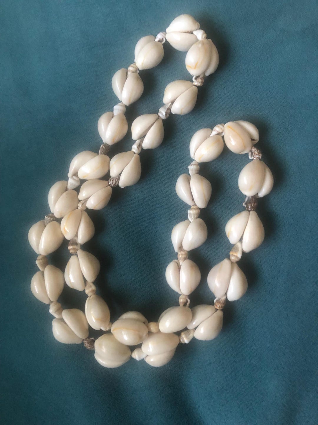 Hawaiian Cowrie Shells Necklace That Fits Over Your Head - Etsy
