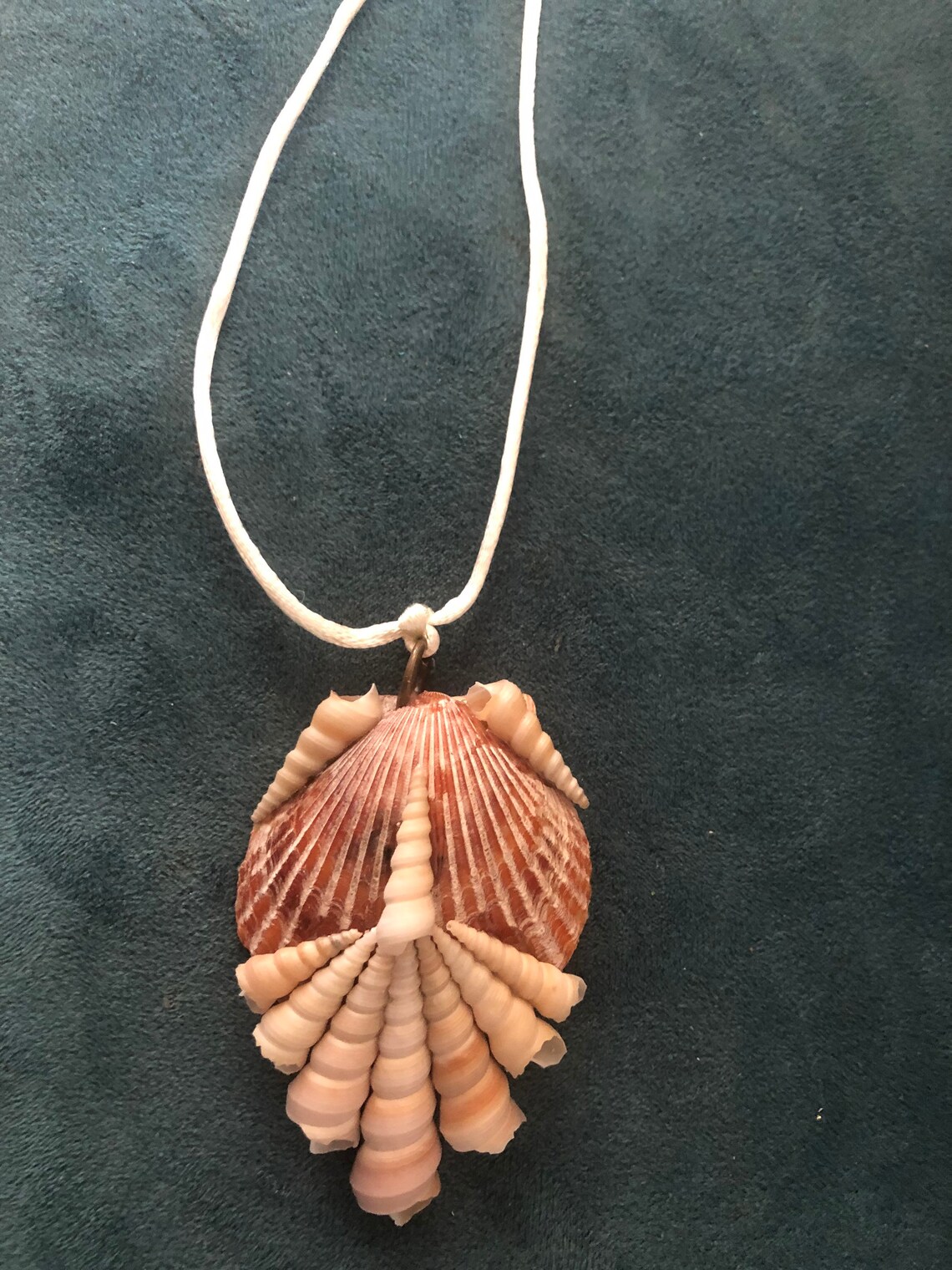 Seashell Pendant Necklace With Ten Auger Shells and Adjustable White ...