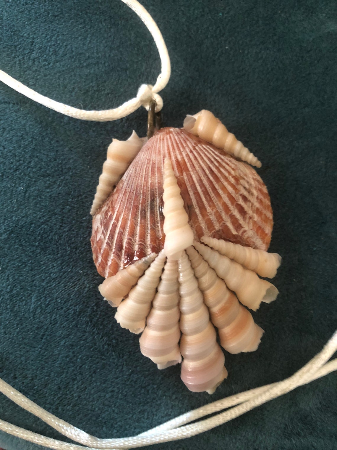 Seashell Pendant Necklace With Ten Auger Shells and Adjustable White ...