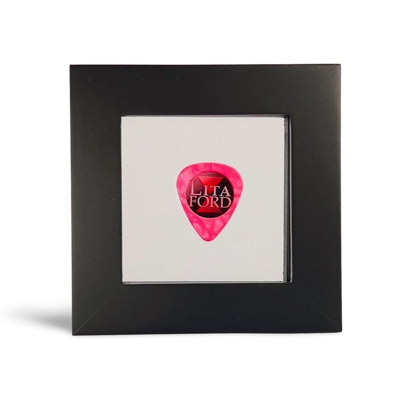 Custom Guitar Pick Display - Etsy