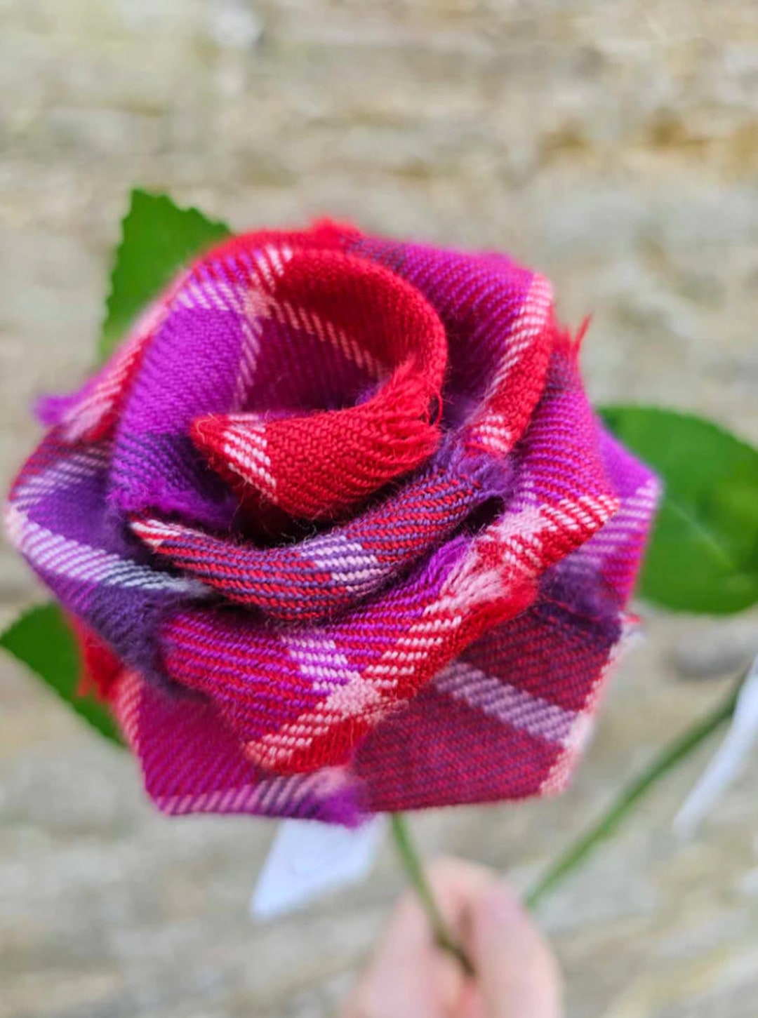 Love of Scotland Tartan Stem Rose - Etsy