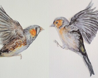 Bird kitchen decor | Etsy