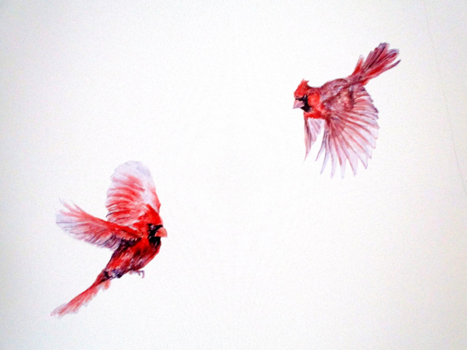 Cardinal Wall Decal Bird Wall Stickers Bird Decals Bird - Etsy