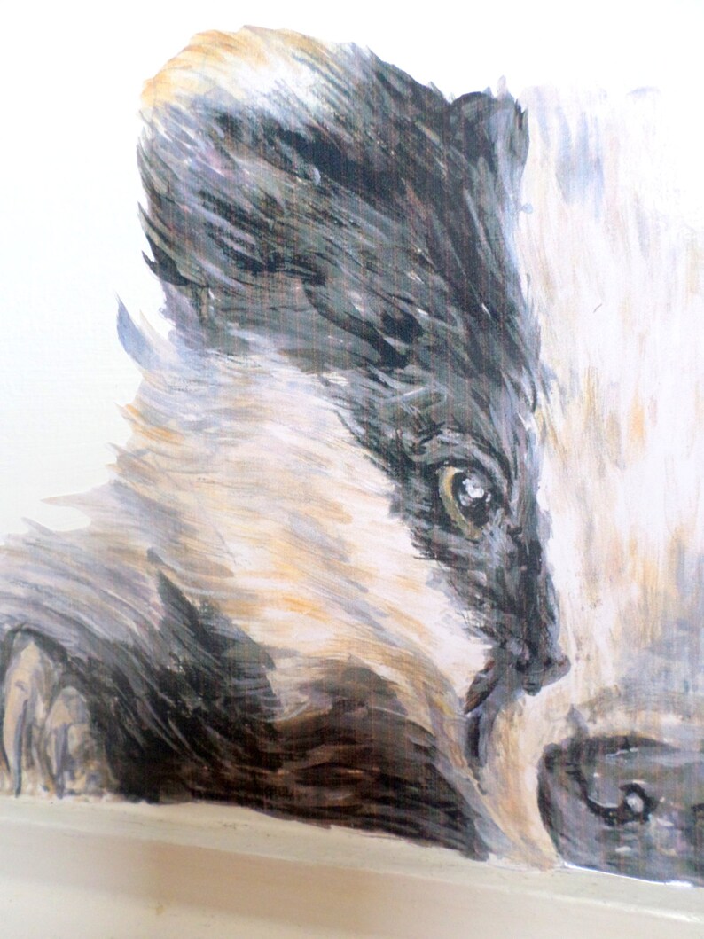 Badger Wall Decal Badger Gifts Wall Stickers Wildlife | Etsy