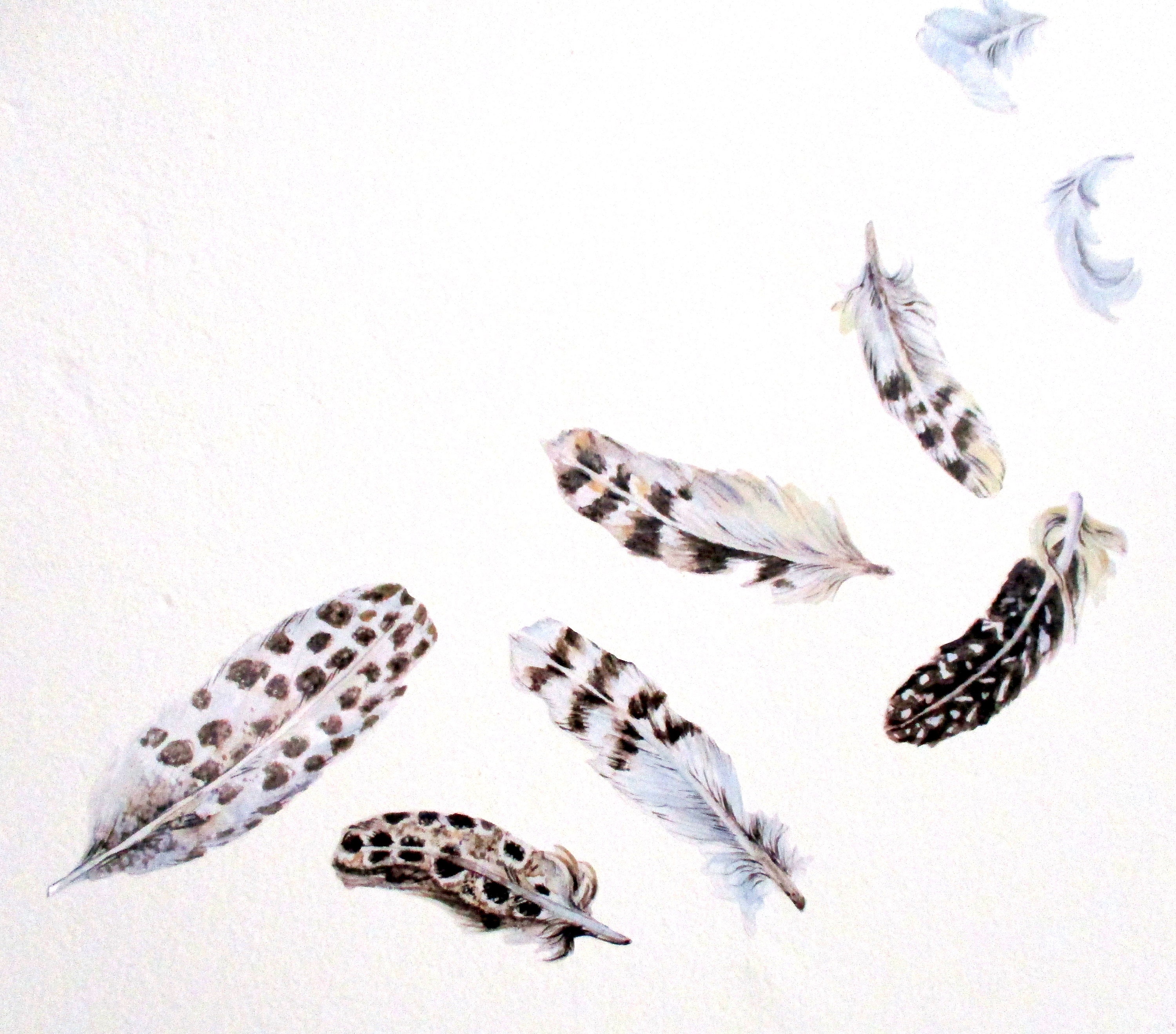 Snowy Owl Feather Tattoo