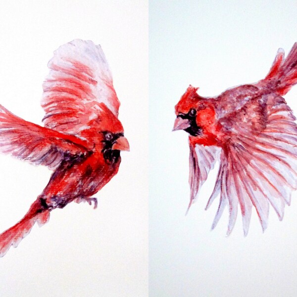 Cardinal Decal - Etsy