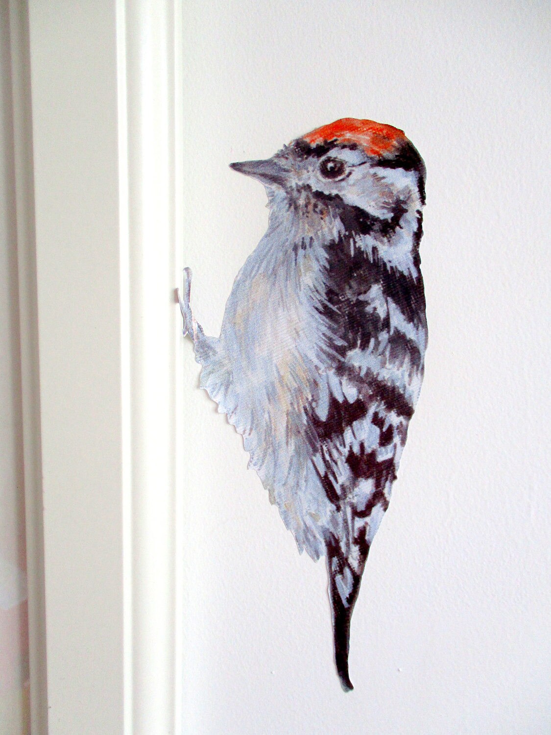 Woodpecker Decals