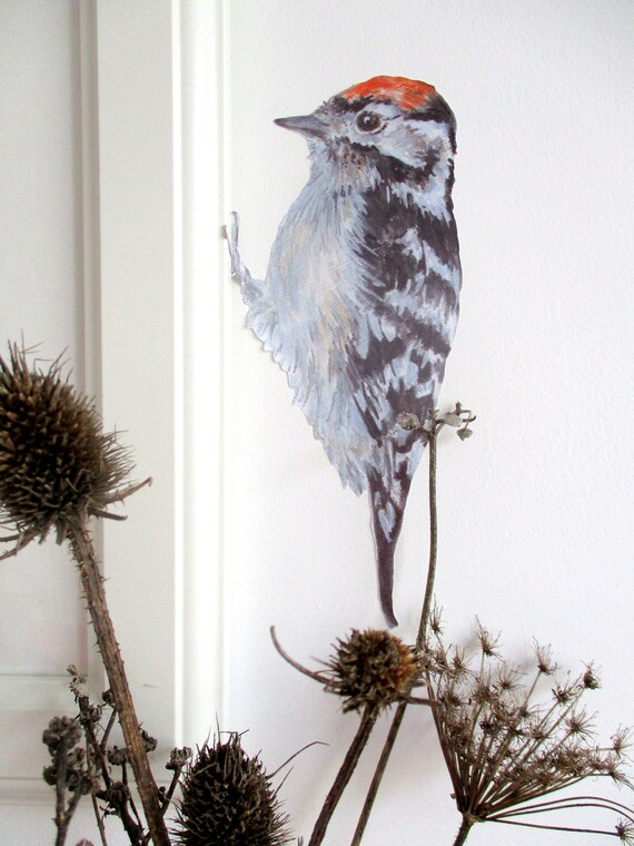 Woodpecker Decals