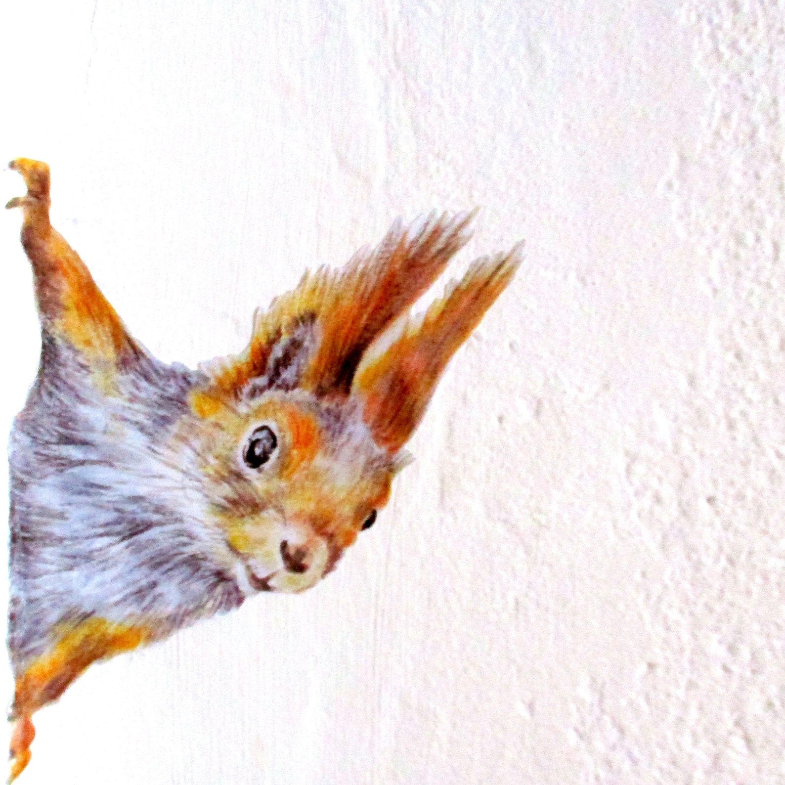 Cute Squirrel Decor Squirrel Wall Sticker Red Squirrel Wall | Etsy UK