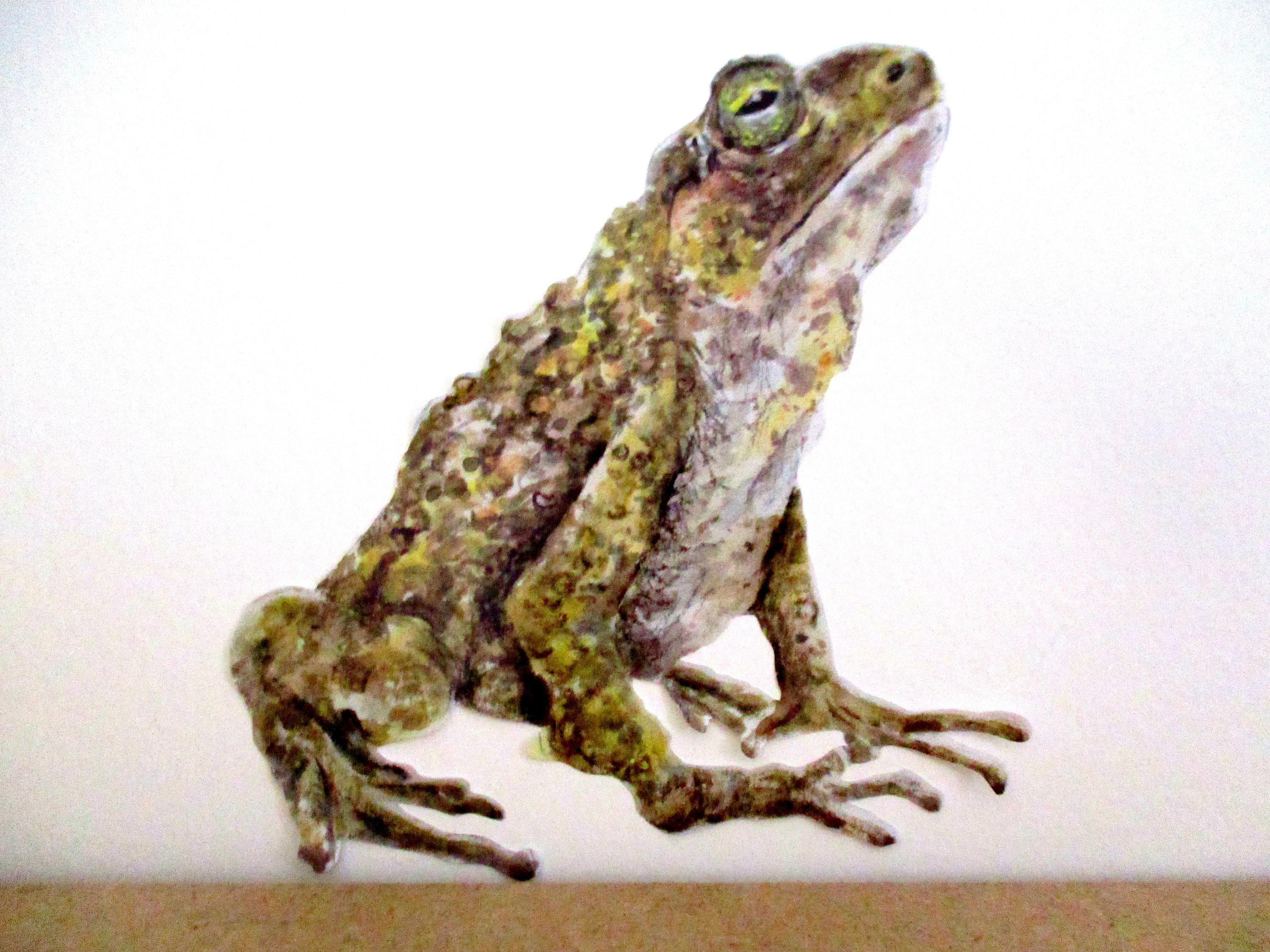 Toad wall decal toad sticker frog wall sticker halloween | Etsy