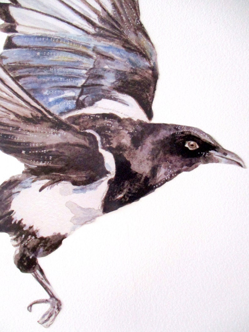 Magpie Wall Stickers Gothic Home Decor Bird Wall Decal - Etsy Australia