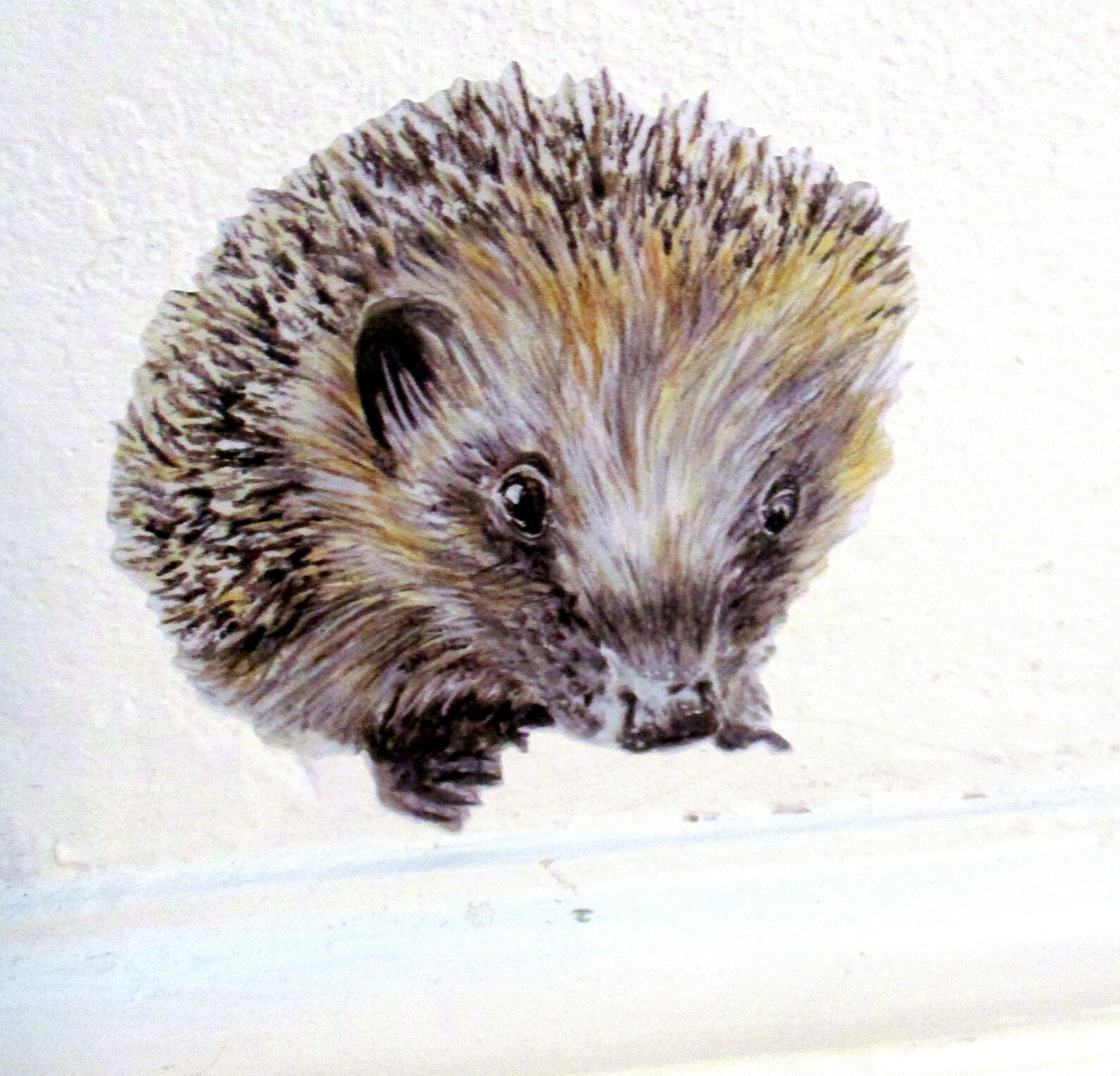 Hedgehog Wall Decal Hedgehog Wall Sticker Hedgehog Wall Art - Etsy UK