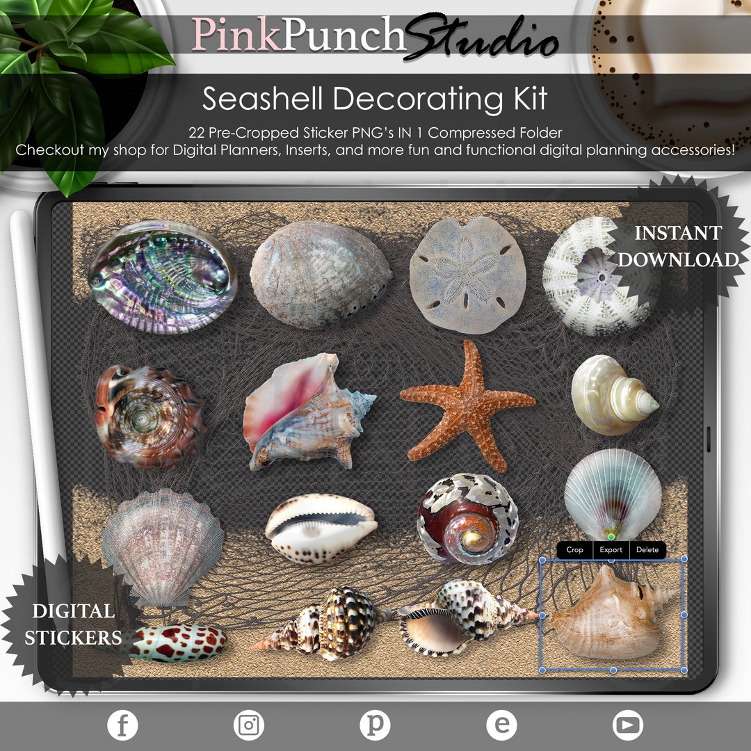 Seashell Beach Kit Top View Digital Planner Planning PNG Files ...