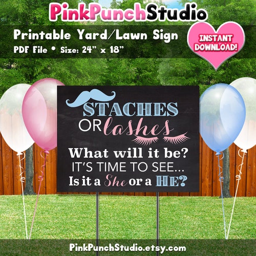 Gender Reveal Party Sign Clothes Pin Pink or Blue Sign Grab - Etsy