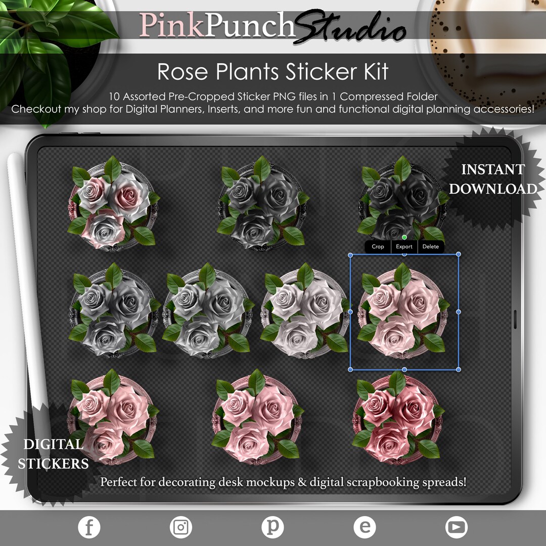 Girl Boss Pink Grey Rose Plants Set PNG Clip Art Stickers for Digital ...