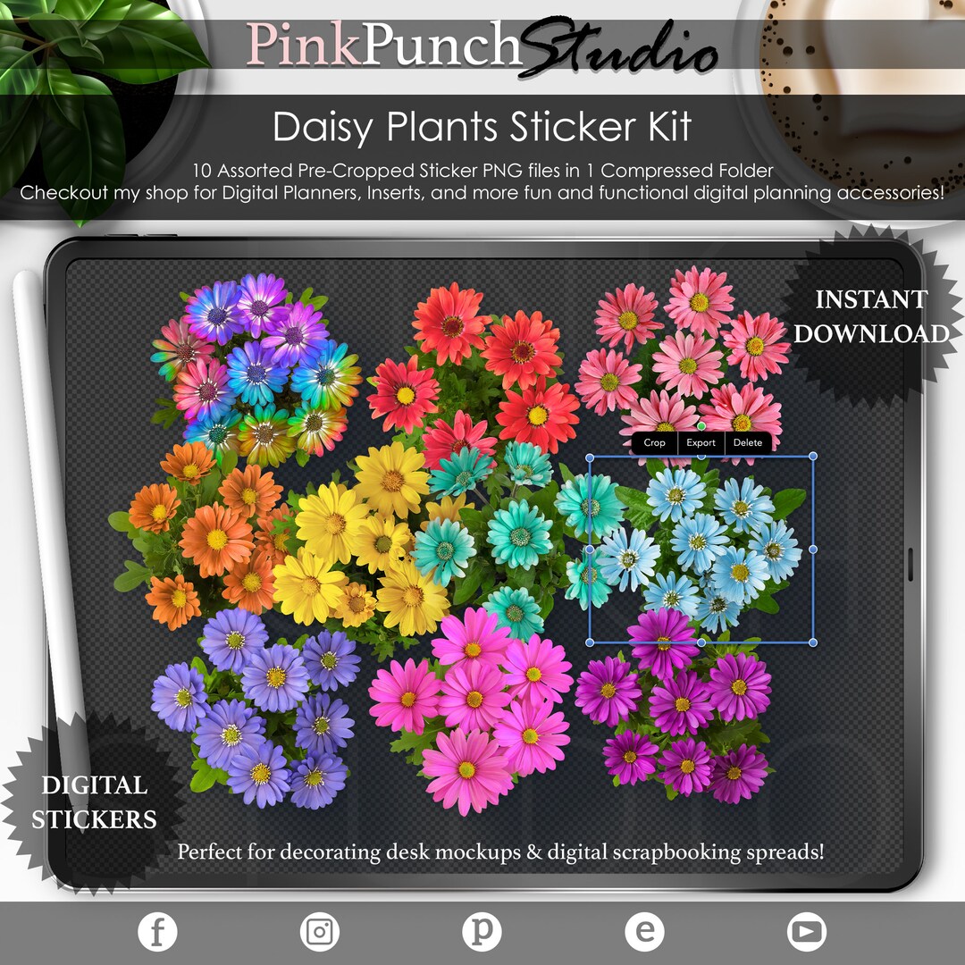 Flower Power Rainbow Daisy Plant PNG Stickers: Digital Planner Clipart ...