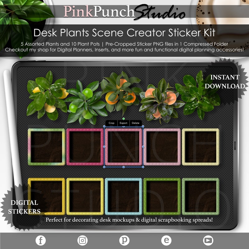 Desk Plant - Etsy