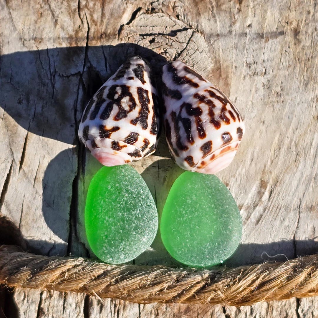 Hawaiian Baby Hebrew Cone Shells and Sea Glass Jewelry Making Set - Etsy