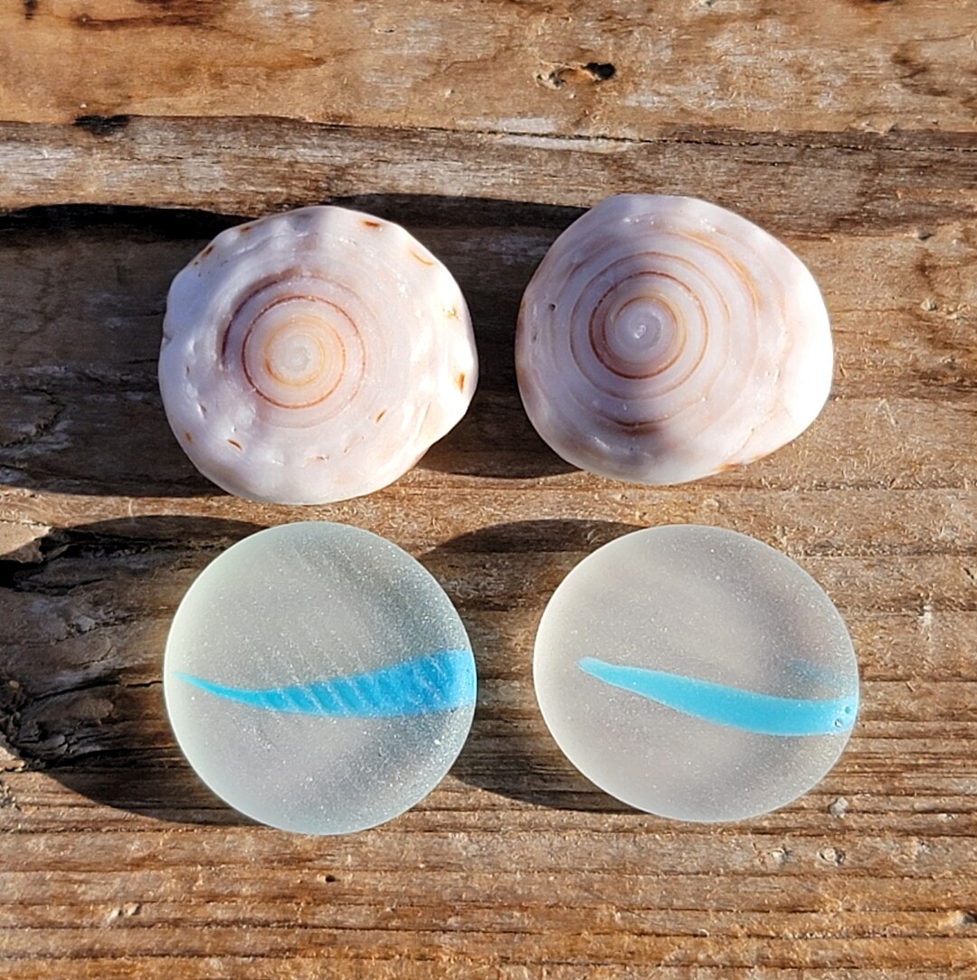 Hawaiian Puka Shells Japanese Sea Glass Ohajiki Jewelry Quality - Etsy