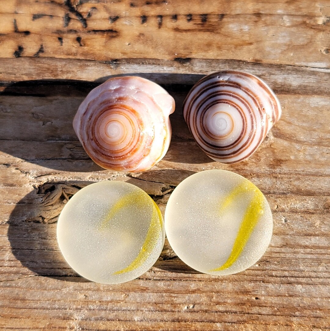 Hawaiian Puka Shells Japanese Sea Glass Ohajiki Jewelry Quality 1 - Etsy