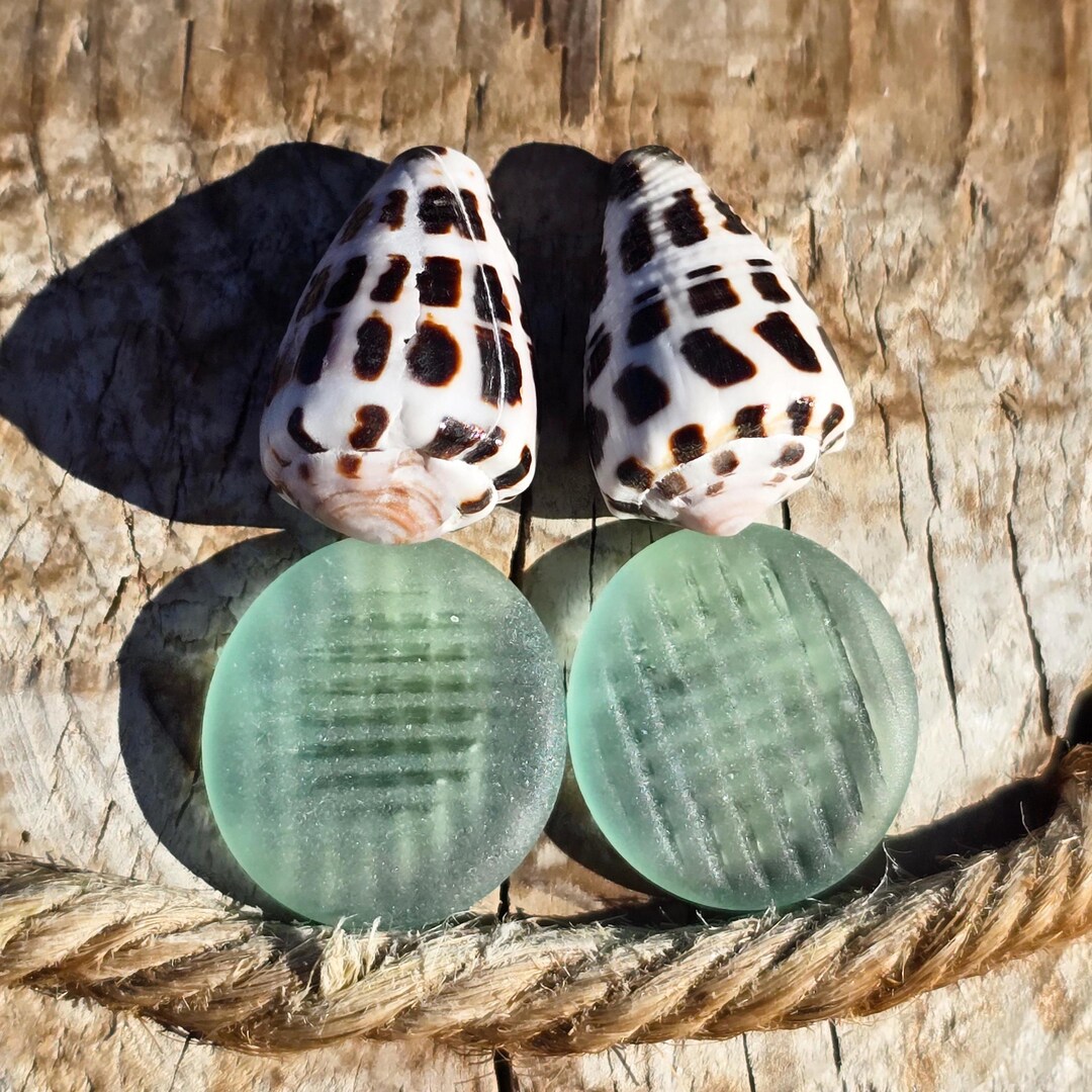 Hawaiian Baby Hebrew Cone Shells Japanese Sea Glass Ohajiki - Etsy