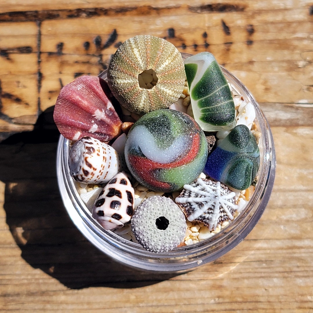 Sea Breeze Beach Cups English and Japanese Sea Glass, Marble and Shell ...