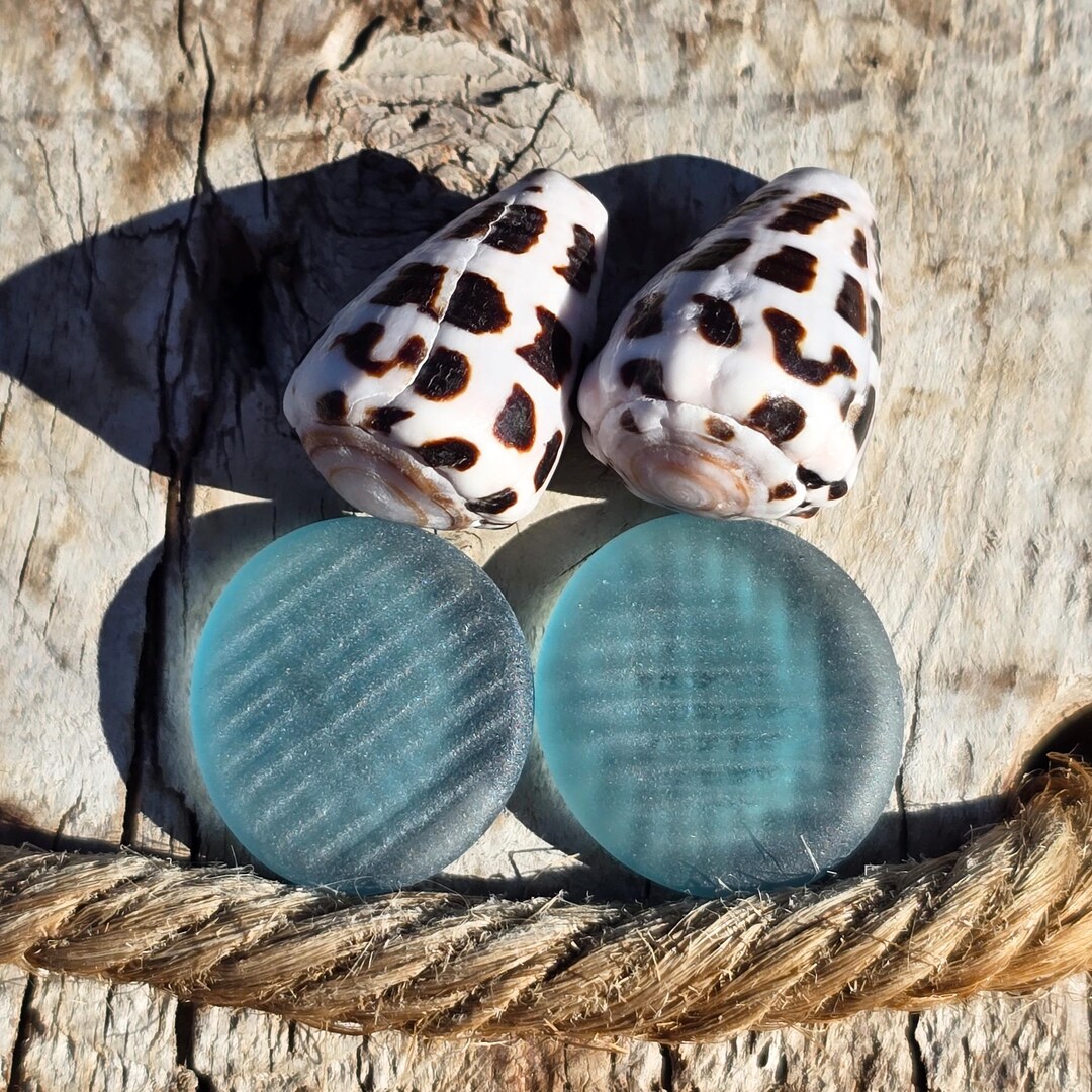 Hawaiian Hebrew Cone Shells Japanese Sea Glass Ohajiki - Etsy