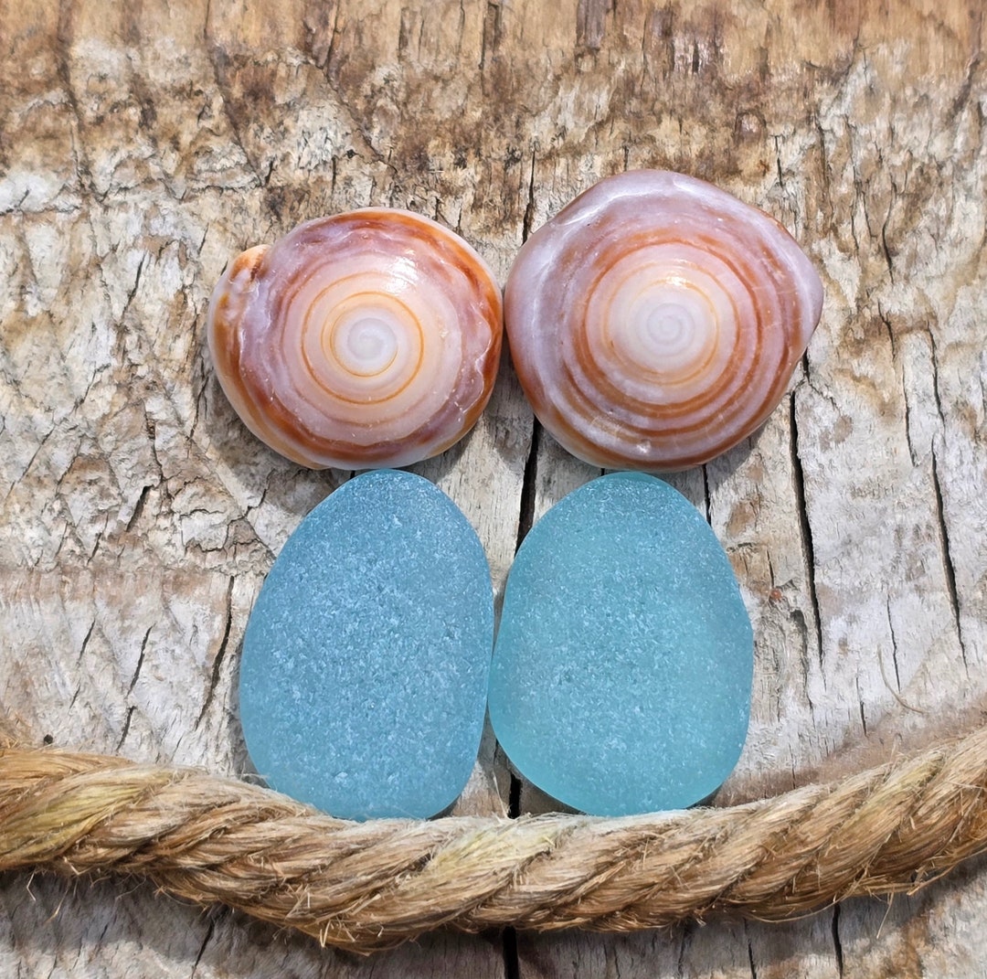 Hawaiian Puka Shells Japanese Sea Glass JQ Set - Etsy