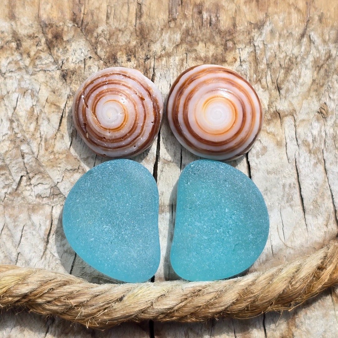 Hawaiian Puka Shells Japanese Sea Glass JQ Set - Etsy