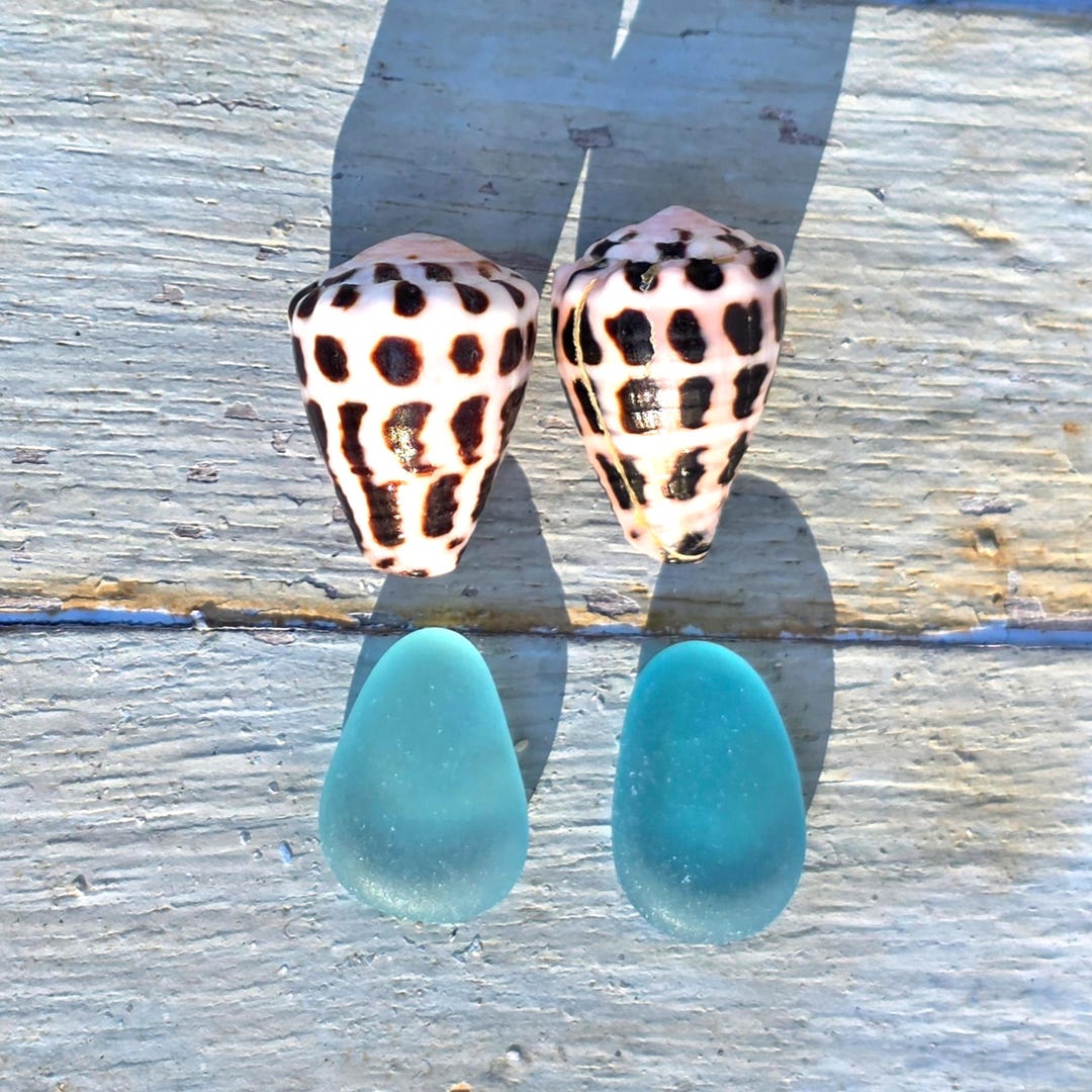 Hawaiian Hebrew Cone Shells | Japanese Sea Glass | Jewelry Making Set ...